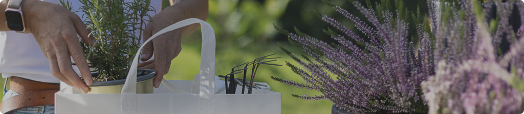 Bagfactory - ecoV Cube Bag | Non woven and paper bags manufacturer